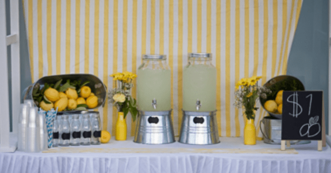 Plant Stall Ideas | Fundraising Directory and Ideas