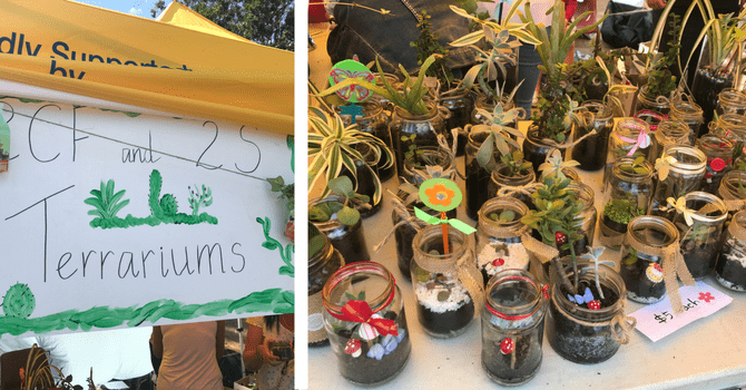 Plant Stall Ideas | Fundraising Directory and Ideas